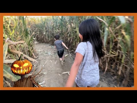 Banducci’s Family Pumpkin Patch 2022!! | We got lost in the MAZE!!