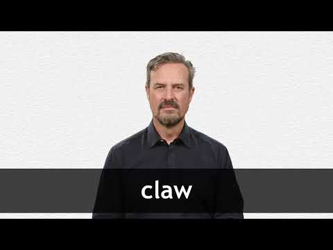 CLAW definition and meaning | Collins English Dictionary