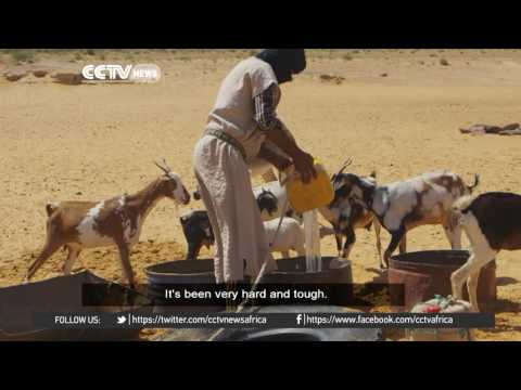 The Desert: Journey through the Sahara lays bare effects of climate change