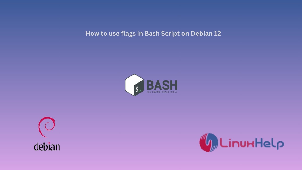How to use Flags in Bash Script on Debian 12