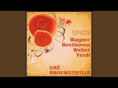 Lohengrin: Einsam in trüben Tagen