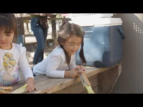 See a Lemur, Feed a Lemur at Tanganyika Wildlife Park