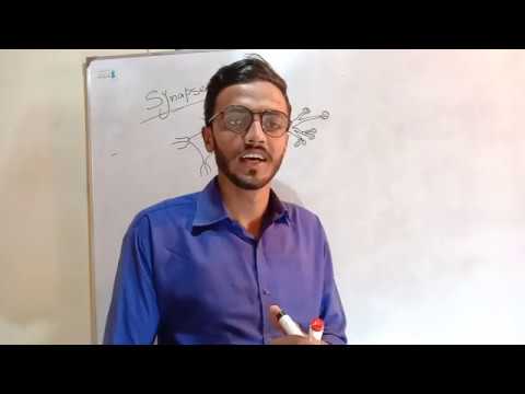 Synapse and its types complete concept in hindi,urdu
