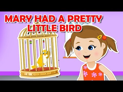 Mary Had A Pretty Bird Nursery Rhyme || Popular Nursery Rhymes With Max And Louie