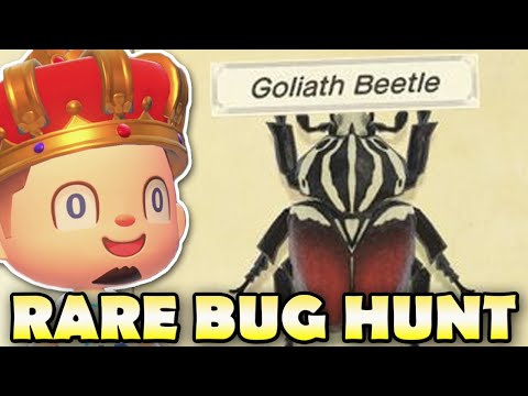 🐛 [JUNE] CATCHING ALL NEW BUGS! Animal Crossing New Horizons RARE BUG HUNT!