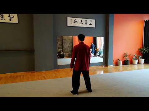 Master Chen Bing 2018 Athens Seminar - basic 13 postures form 陈炳老师陈氏太极拳基本十三式