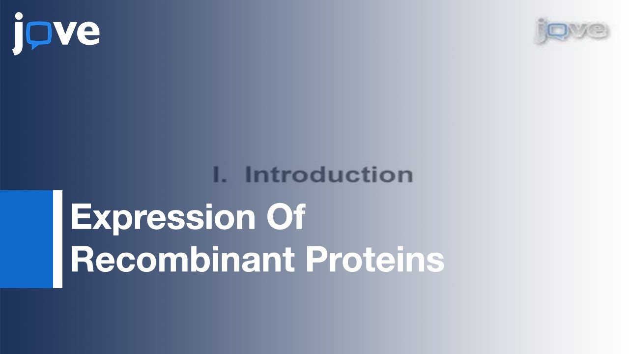 Expression Of Recombinant Proteins In Methylotrophic Yeast Pichia pastoris l Protocol Preview