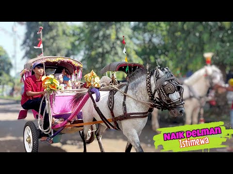 LAGU NAIK DELMAN ISTIMEWA LYRICS, KOMPILASI LAGU ANAK ANAK