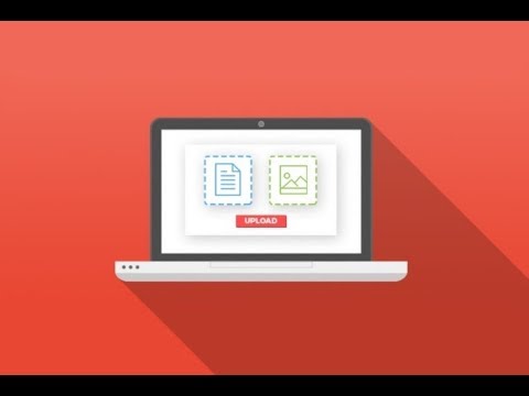 The 7 Best Online Photo Storage and Sharing Sites