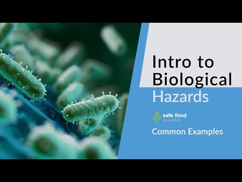 HACCP 101: Common Examples of Biological Hazards