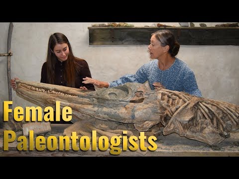 The YouTube videos of Ben G Thomas | The Pterosaur Heresies