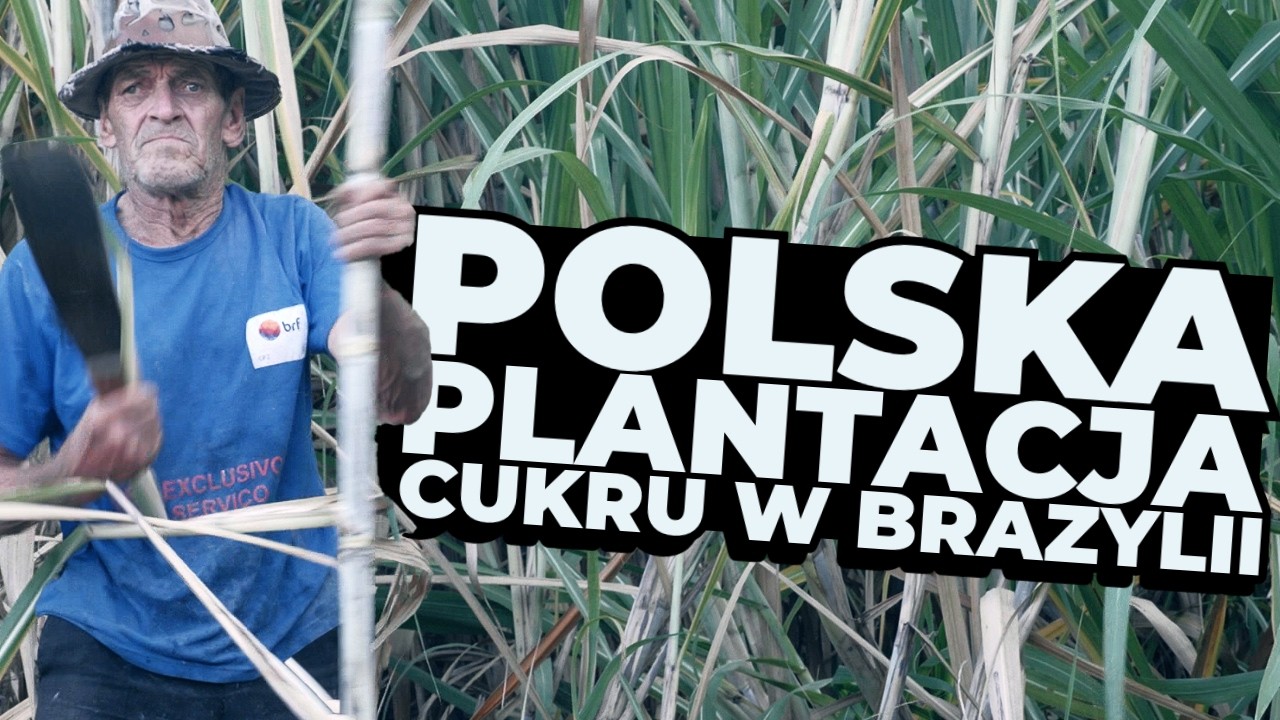 POLISH SUGAR PLANTATION IN BRAZIL