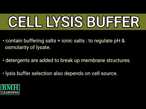 Lysis Buffer | Cell Lysis Buffer | Choosing A Lysis Buffer |