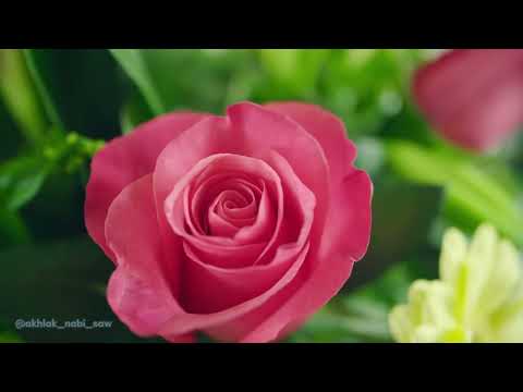 Contemplation | TRUE HIJRAH (English) | Akhlak_Nabi_Saw