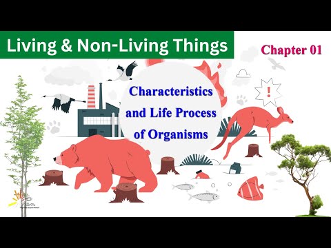 Living & Non-Living Things | Grade 4 | Unit-1 | General Science | SNC | PEN Academy