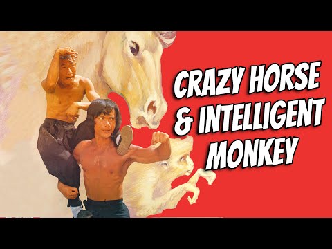 Wu Tang Collection - Crazy Horse & Intelligent Monkey WIDESCREEN