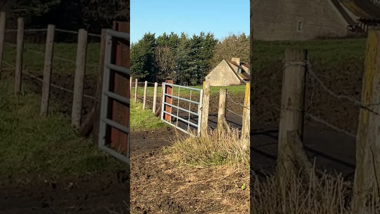 Tour around the farm 