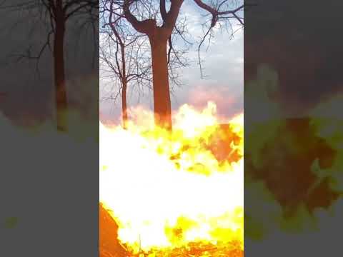 Propane tanks