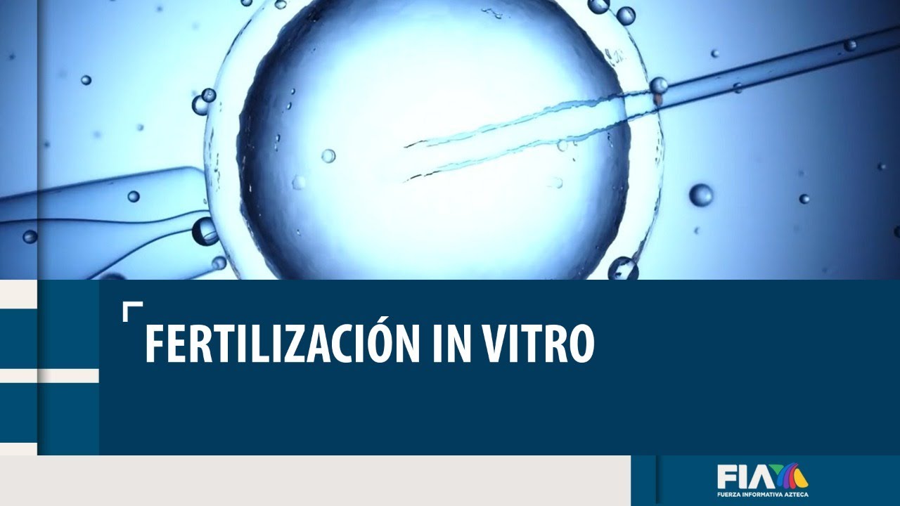 Tener un hijo sin relaciones | Conoce la fertilización in vitro en México