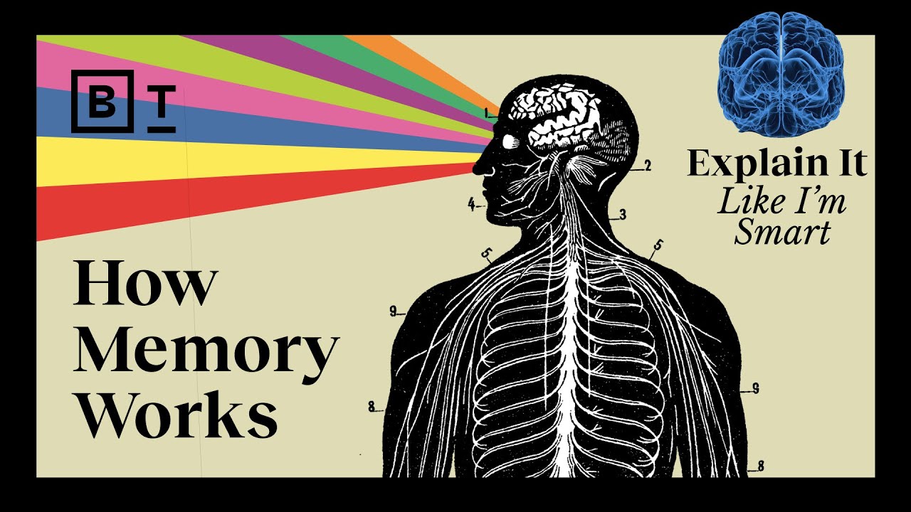 How the brain makes memories | Lisa Genova | Big Think
