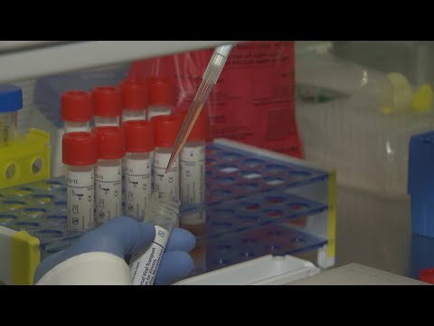 Data breakdown on COVID-19 patients in Arizona
