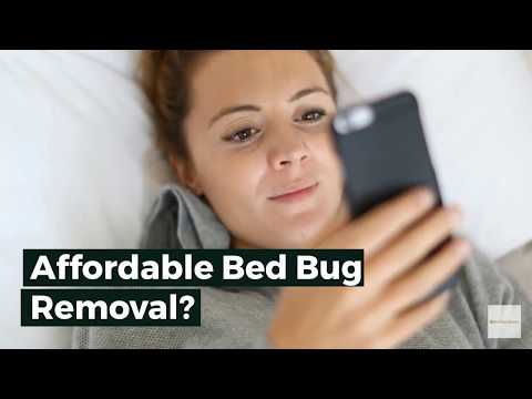 Annapolis Bed Bug Expert