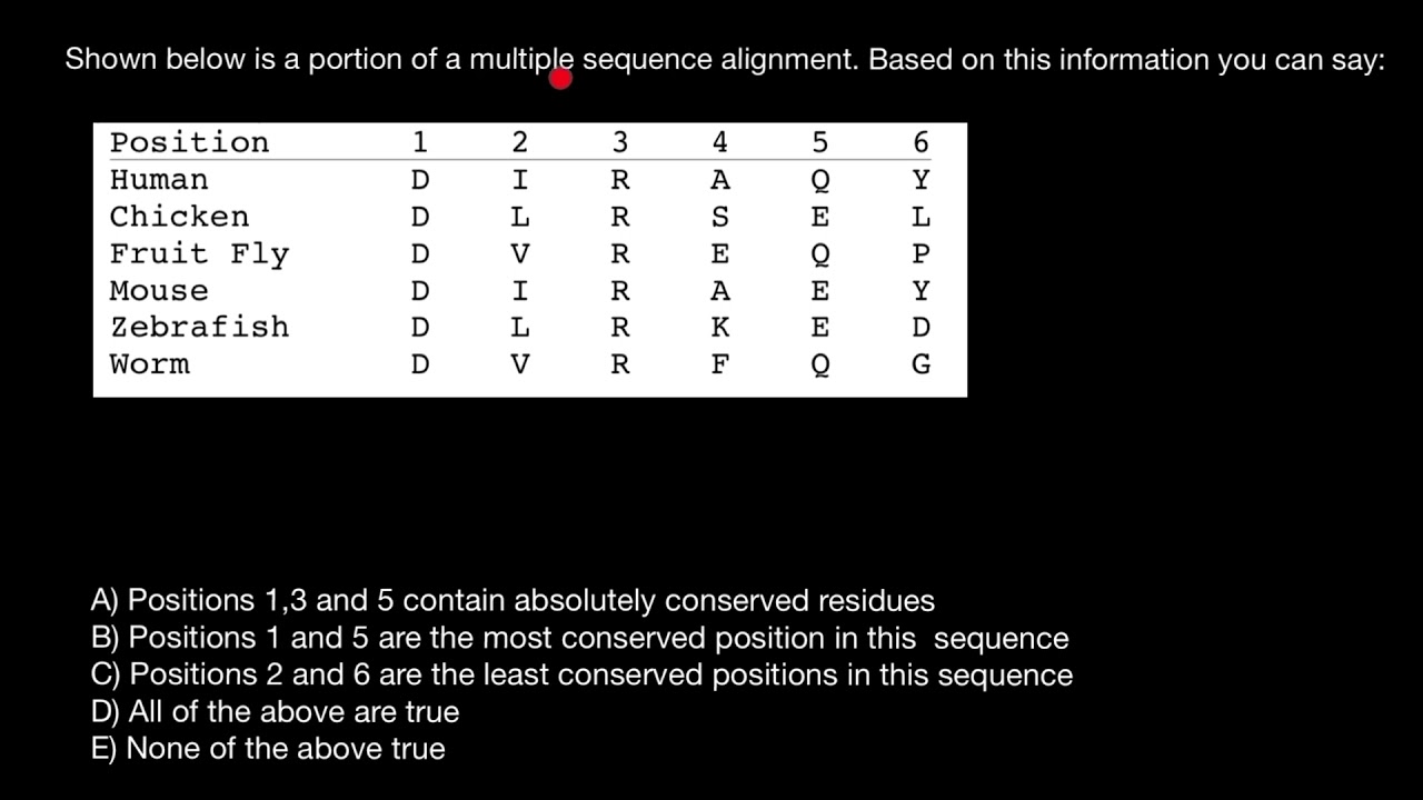 Multiple sequence alignment (MSA) Explained