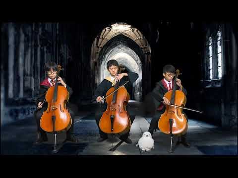 Harry Potter arranged by Nicholas Wong for 3 Cellos