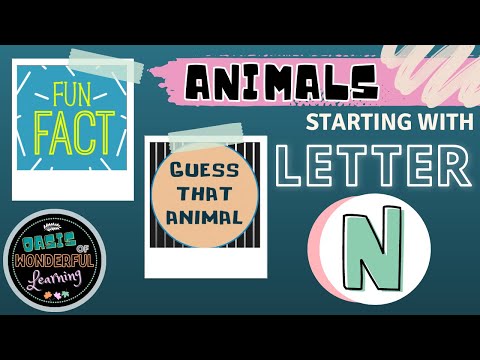 Animals - Letter N | Guess That Animal & Fun Fact | Educational Videos