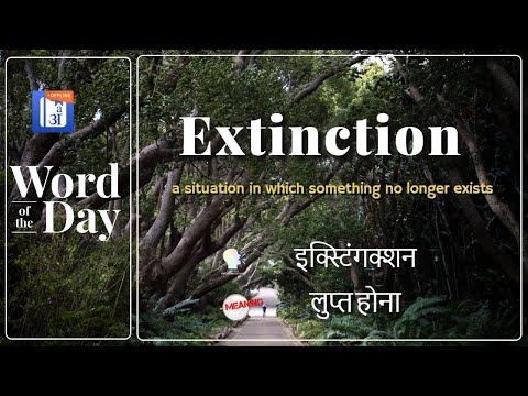 Extinction In Hindi - HinKhoj - Dictionary