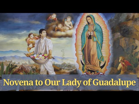 Novena to Our Lady of Guadalupe – (For: December 3-11, 2022) – Nelson MCBS