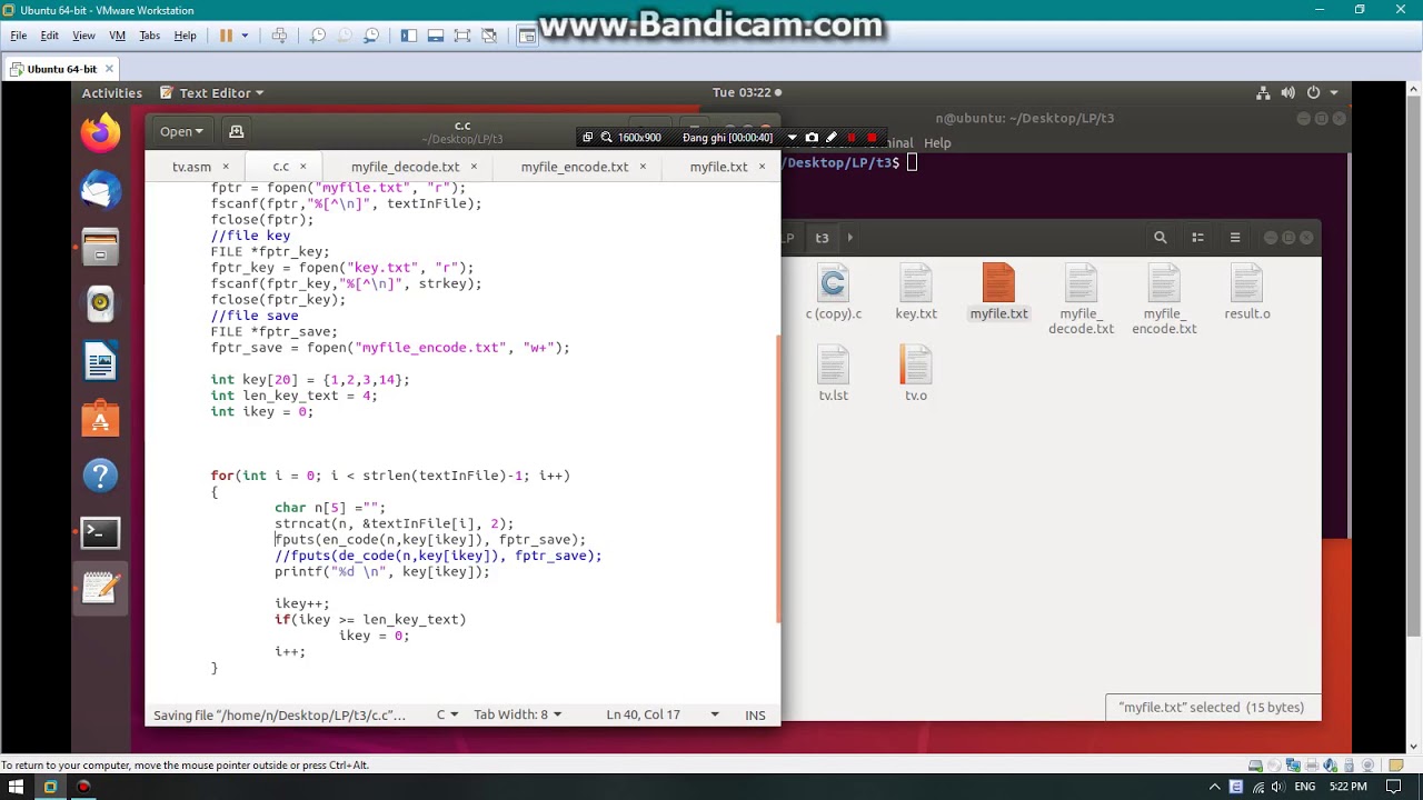 Project #5: encoding/decoding functions by assembly