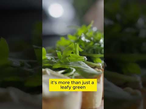 Discover the Magic of Arugula Elevate Your Salads & Meals! #salad #arugula