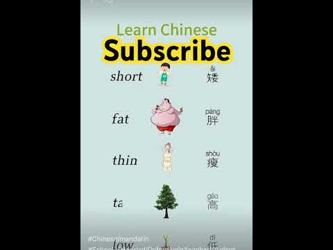 HOW TO DESCRIBE PEOPLE FAT,SHORT,THIN,TALL,LOW #LEARN CHINESE MANDARIN & ENGLISH#