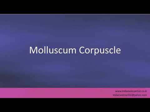 Pronunciation of the word(s) "Molluscum Corpuscle".