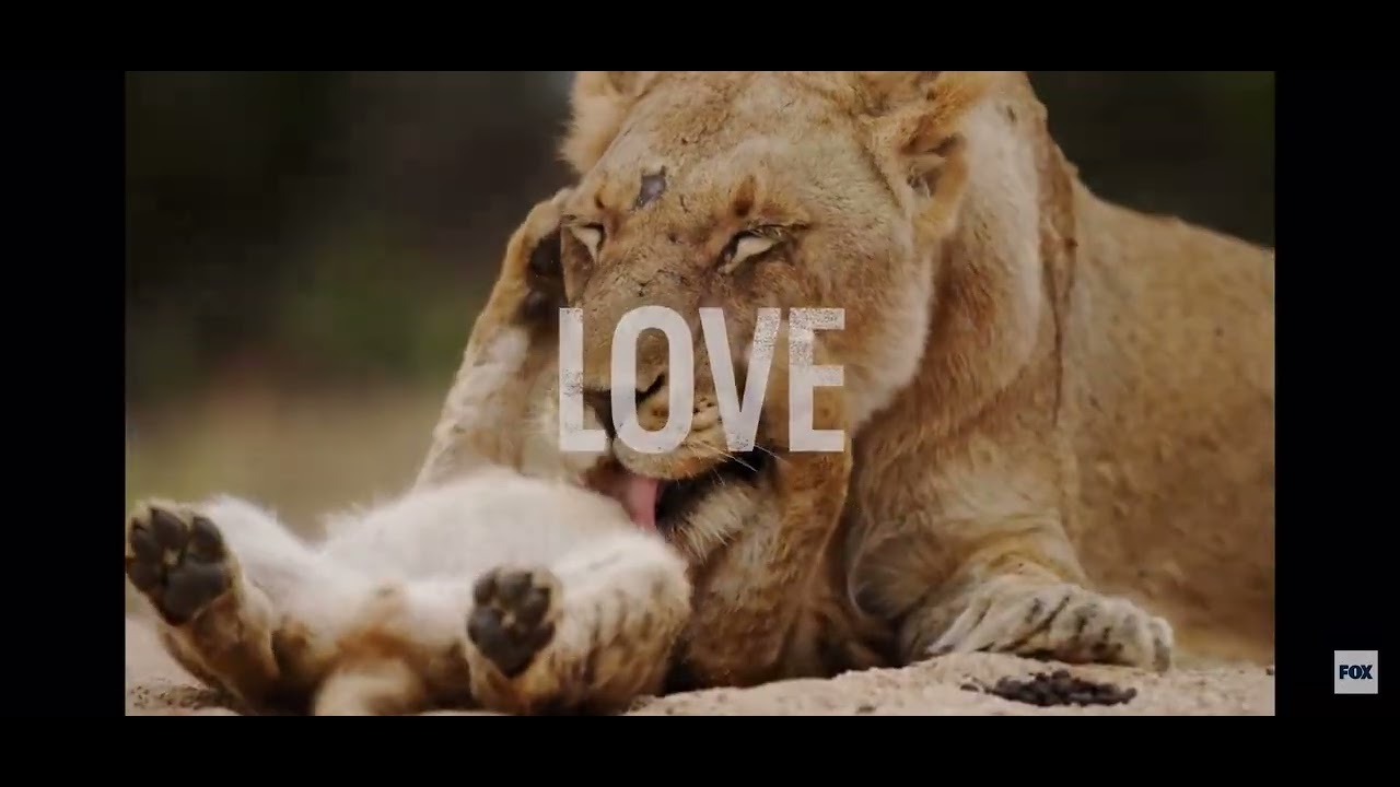 Malika & The Lion Queen Promo
