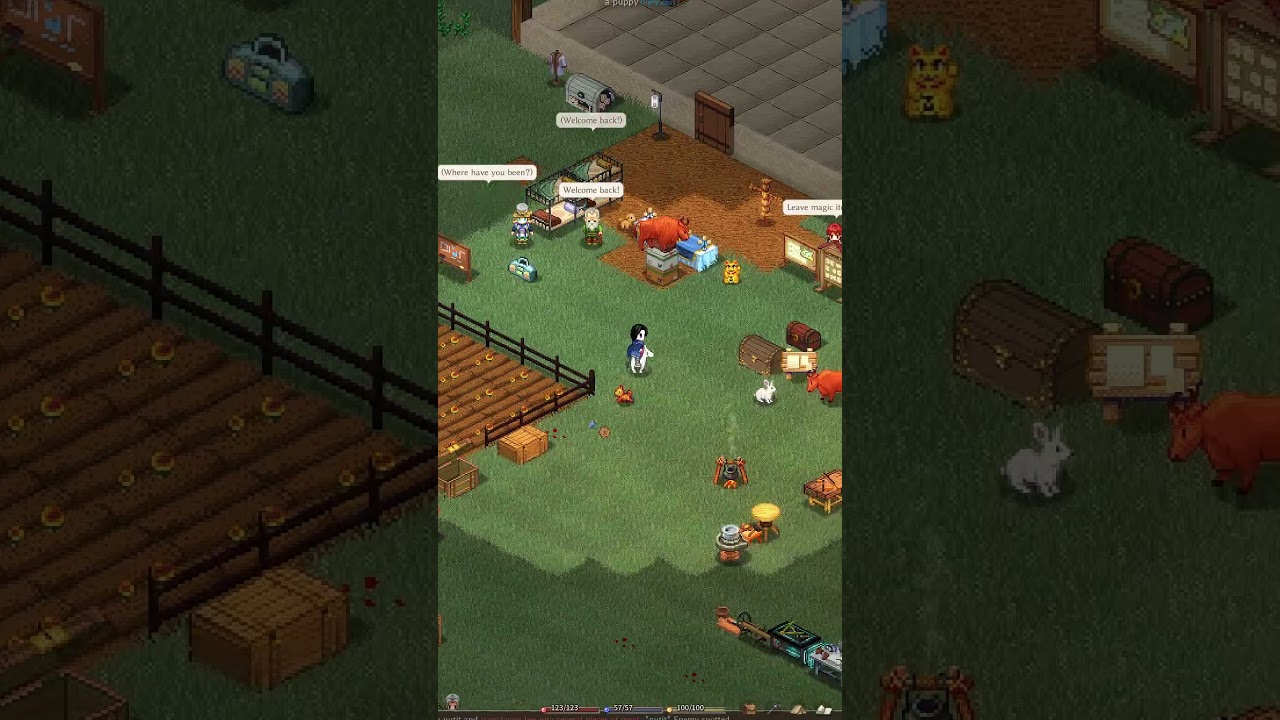 The Complete Beginners Guide | Elin | RPG |  Roguelike