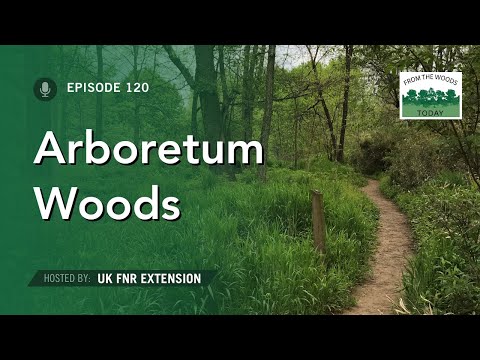 Arboretum Woods - From the Woods Today - Episode 120