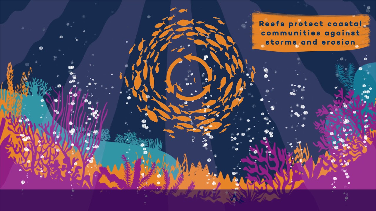 NBI Global Resource Centre Animation