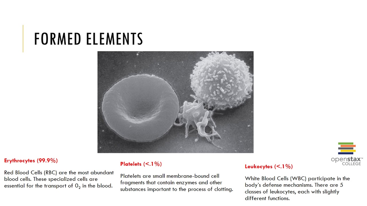 Chapter 18 Recorded Lecture