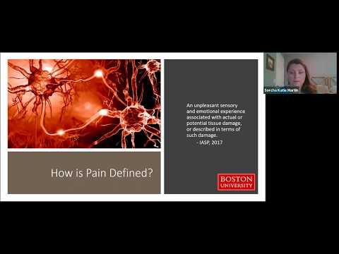 Applied Pain Science Foundations with Sorcha K Martin, PT DPT FAAOMPT