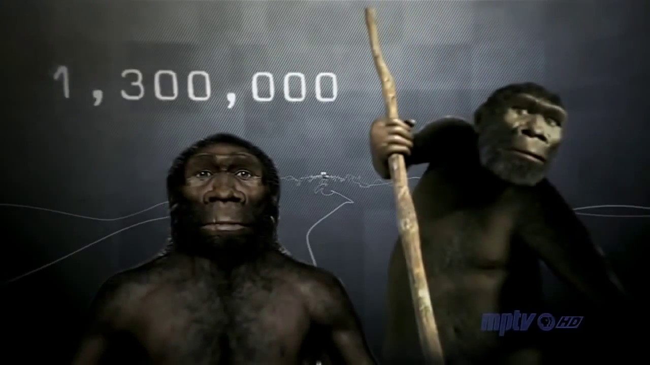 Becoming Human (Episode 1) - First Steps