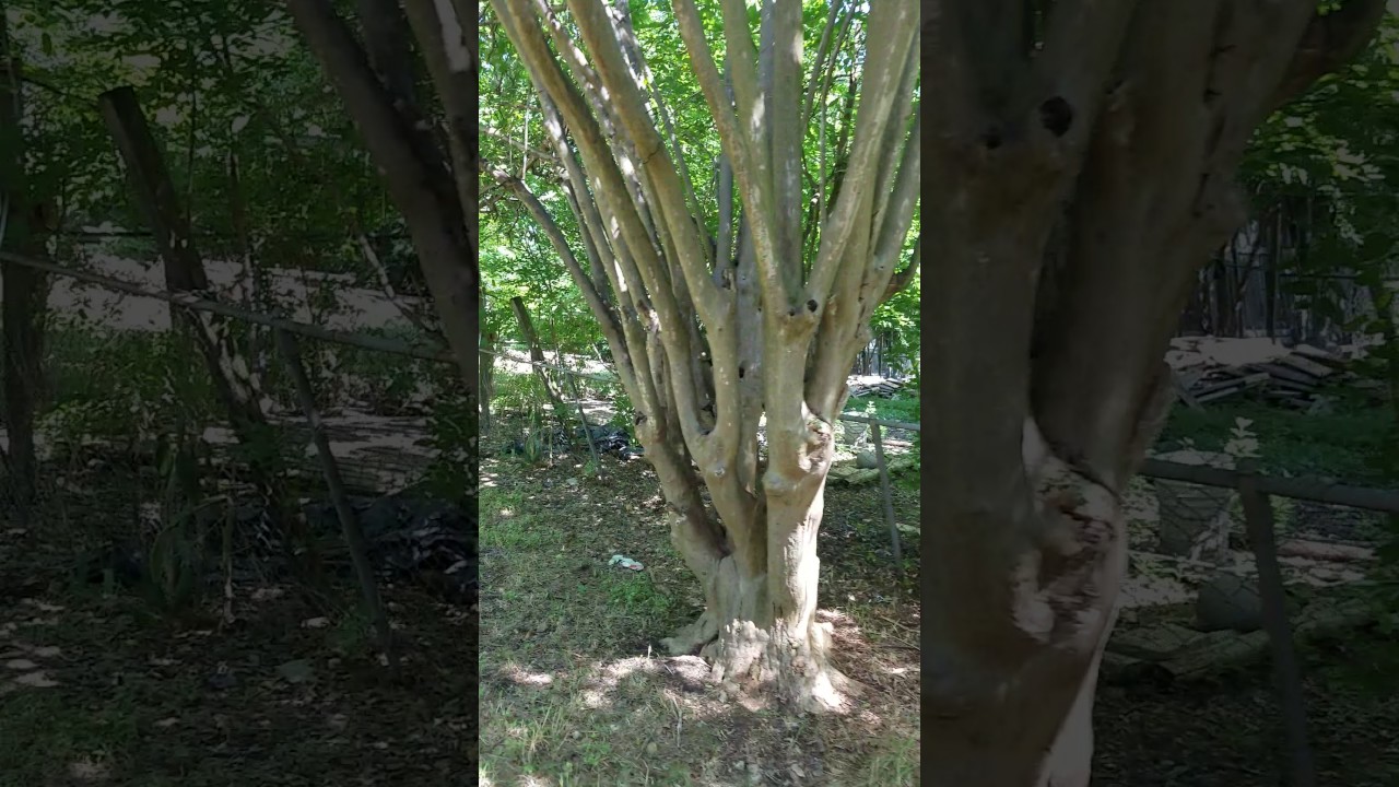 Investment property in San Antonio The Leverage Group LLC