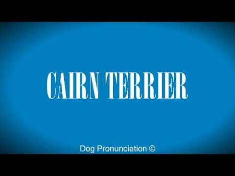 How to pronounce CAIRN TERRIER