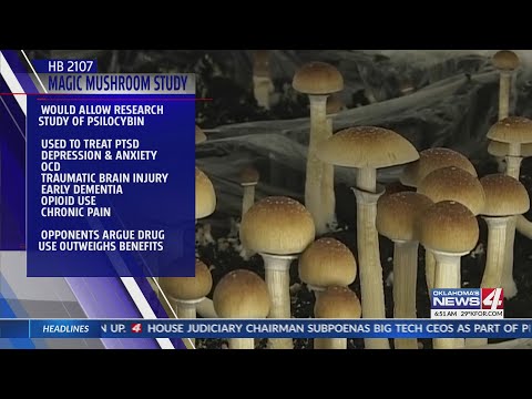 Magic mushroom measure passes committee
