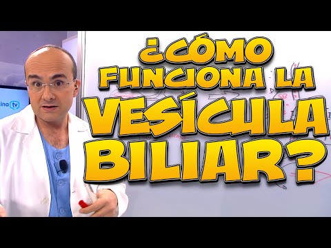 VESÍCULA BILIAR, ¿cómo funciona? - Cuerpo Humano #08