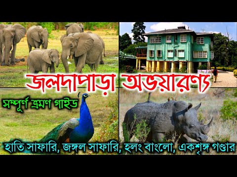 Jaldapara National Park - Full Tour Guide | Holong Bungalow | জলদাপাড়া অভয়ারণ্য -Biswarupam Live