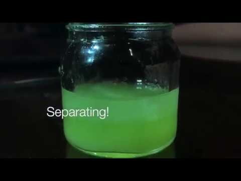 Sick Science! DNA Extraction – AP Biology with Anna