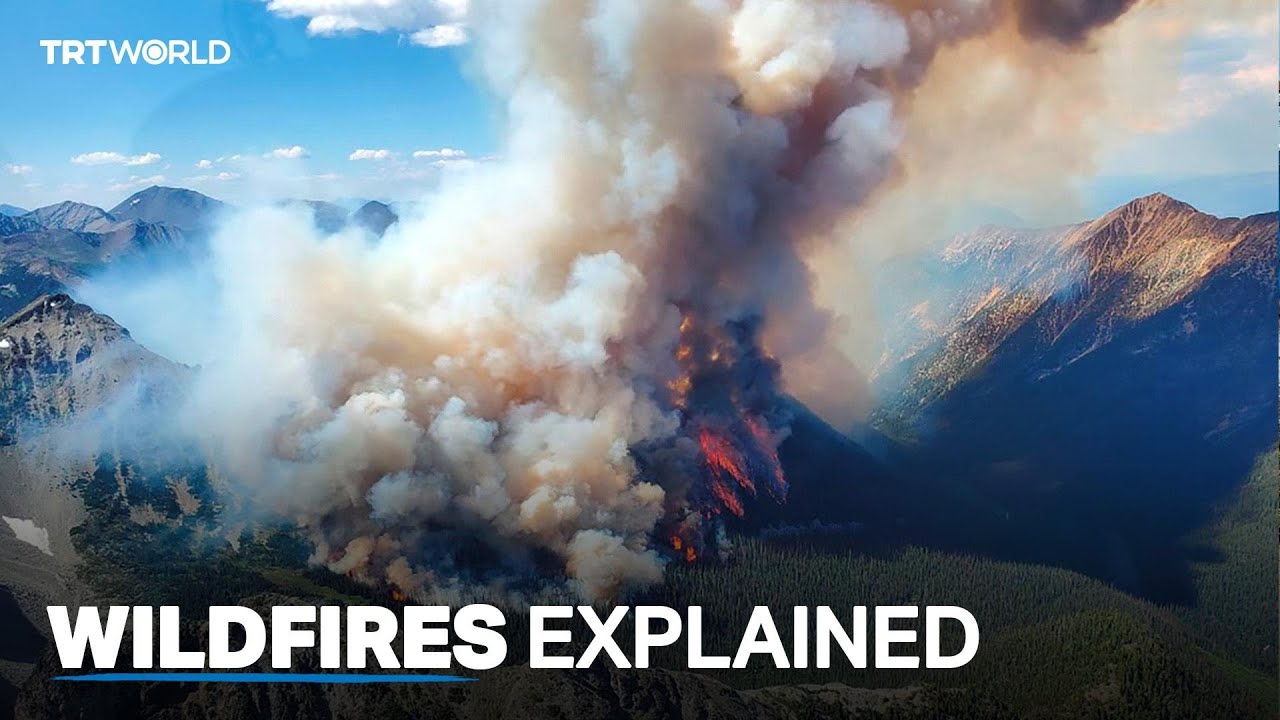 What are wildfires and how do they impact us?