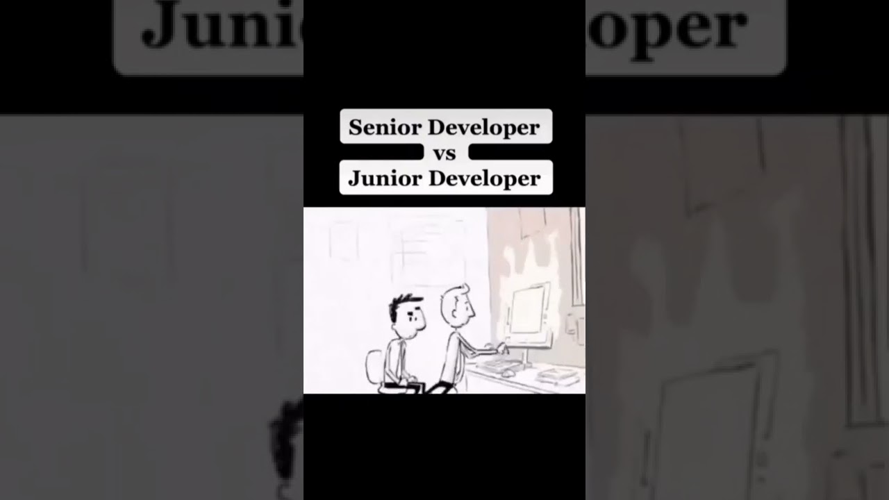 Senior Developer vs Junior Developer
